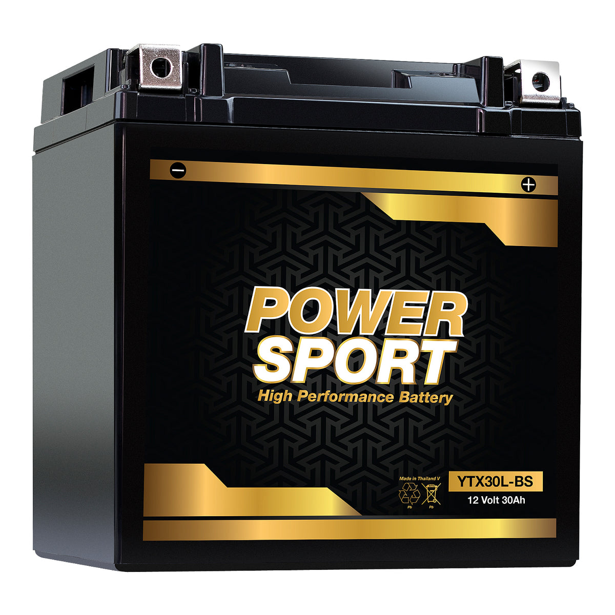 12V 30Ah YTX30L-BS AGM Power Sport Battery | ExpertPower Direct